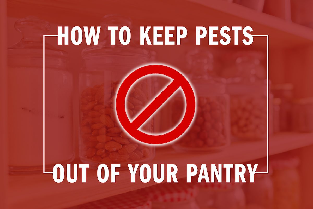 Pantry Clean Out for Mid-Missouri Pests - Steve's Pest Control